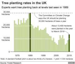 Climate change: Tree planting rise 'needs to happen quickly' - BBC News