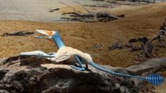 Pterosaur diets: Fossils show flying reptiles ate fish and squid - BBC News