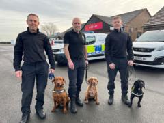 Durham police 'digi dogs' sniff out mobile phones and devices - BBC News