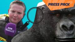 Home - CBBC Newsround