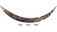 World's oldest boomerang older than thought, but not Australian - BBC News