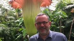Rare 'corpse flower' blooms in Australia - BBC News