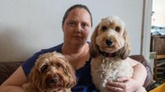Canterbury woman injured after tackling rottweiler to save dogs - BBC News