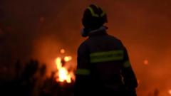 Greece wildfires: mass evacuations as blaze rages near Ierapetra, Crete ...