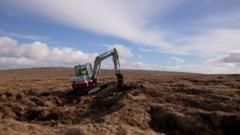 How could Devon's peatlands fall victim to climate change? - BBC News