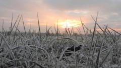 Remembering the Beast from the East - BBC Weather