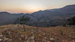 S2 meteorite that crashed into Earth caused life to bloom - BBC Newsround