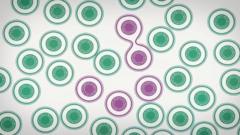 Are we fighting cancer the right way? - BBC News