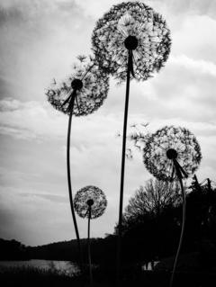 Photographers from across Britain capture its beauty. - BBC News