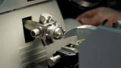 Fly brain sheds light on human thought process - BBC News