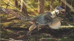 Newly discovered mammal species survived dinosaur extinction - BBC News