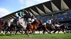 Horse Racing - Results, Schedule & Latest News