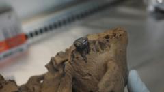 Dragon Man: Ancient skull 'reveals what mysterious Denisovans looked ...