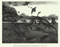 In the 200 years since the first dinosaur was named what have we ...