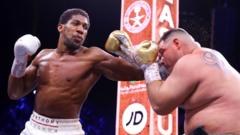 Boxing's current world champions - BBC Sport