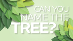 Quiz of the Week: BBC Newsround's top UK and world stories - BBC Newsround