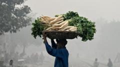 Lahore smog: Pollution hits record levels in Pakistan city - BBC News