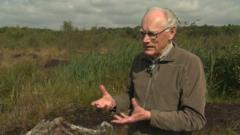 Lindow Man: Forty years since bog gave up gruesome secret - BBC News