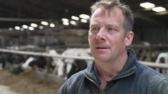 Lune Gorge M6 bridge repairs: Businesses fear lengthy disruption - BBC News