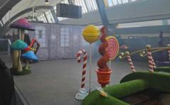 'We went viral as Oompa Loompas but we're just normal people' - BBC News