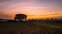 Saharan dust cloud sweeps over UK covering cars in an orange powder ...