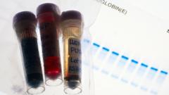 Russia state-sponsored doping across majority of Olympic sports, claims ...