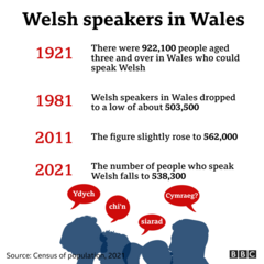 Welsh language: Fewer speakers in Wales in past decade - BBC News