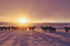 Your pictures: Rural life - BBC News