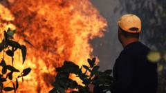 Global warming and land use change to drive more extreme wildfires ...