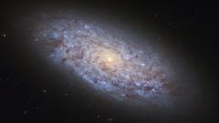 Muons: 'Strong' evidence found for a new force of nature - BBC News