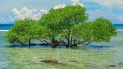 Mount Marapi: Indonesia volcano death toll rises to 22 - BBC News