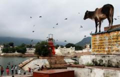 Why India's food police are kicking up a storm - BBC News
