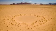 Fairy Circles: What are they and why do they form? - BBC Newsround