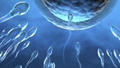 Male pill: The scientist working on 'progress for humanity' - BBC News