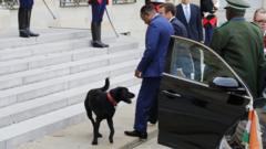 Macron's dog Nemo in video plea to be kind to pets - BBC News