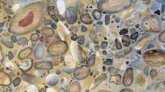 Hertfordshire Puddingstone stolen from museum site - BBC News