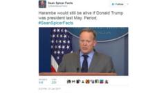 The best Sean Spicer memes and 'facts' - BBC News