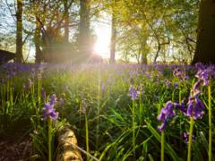 Oxfordshire's Big Picture: 22 April - 28 April 2024 - BBC News
