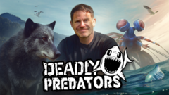 CBBC Animal Hub - CBBC - BBC