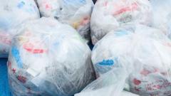 Litter picking World Cup 2025: Who won? - BBC Newsround