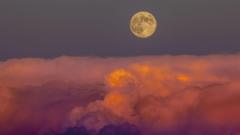 Super Harvest Moon: When can you spot the partial lunar eclipse? - BBC ...