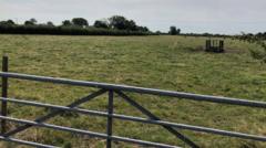 Doncaster solar farm given go-ahead despite objections - BBC News