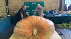 Lymington twins squash world record for biggest pumpkin - BBC News