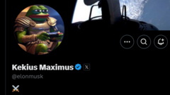 Elon Musk changes his name to Kekius Maximus on X - BBC News