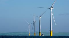 Signs of Rampion wind farm works hidden after land restoration - BBC News