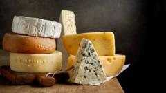 World's oldest cheese found buried with mummies in China - BBC Newsround