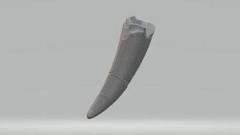 East Sussex: Dinosaur teeth discovered in Bexhill - BBC News