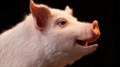 Ann Emery, star of Rentaghost and Billy Elliot, dies at 86 - BBC News