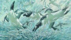 Pictures: New exhibition of extinct birds from the past - BBC Newsround