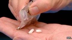 Paracetamol warning: 'Slightly too much can cause overdose' - BBC News